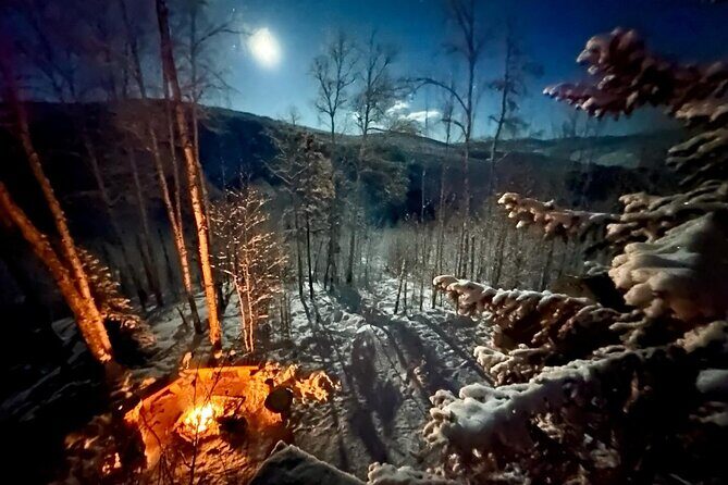 Overnight Dog Sledding Adventure - The Sum Up: Is This the Right Experience for You?