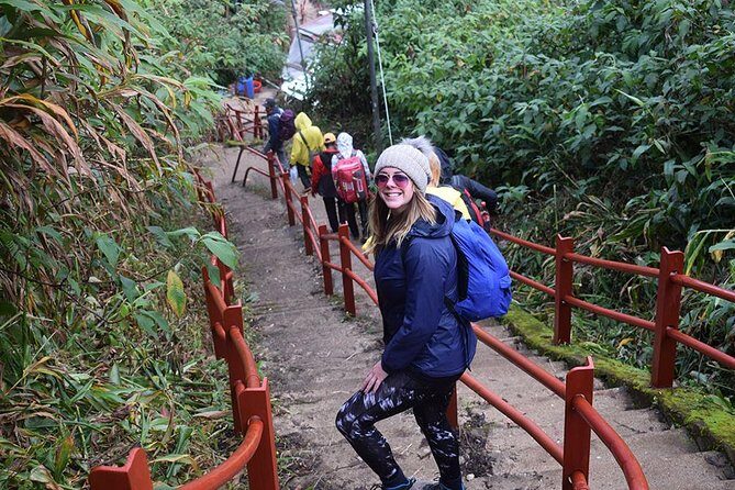 Overnight Hiking and Trekking Tour to Adams peak via Peak Wilderness sanctuary - Descent and Breakfast