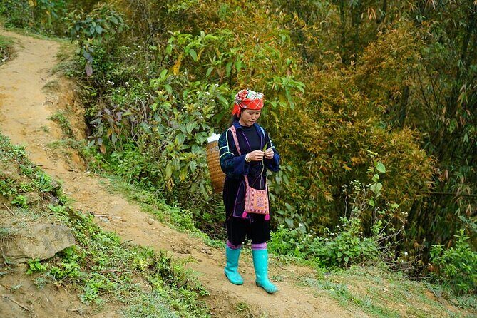 Overnight homestay in Sapa 2 days 1 night - Final Thoughts: Who Is This Tour Best For?