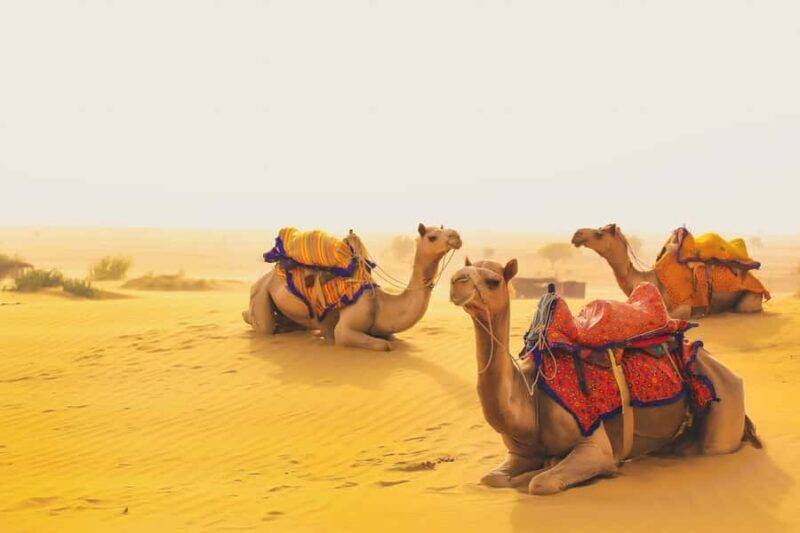 Overnight Jaisalmer Tour with Camel Safari & Desert Camping - Starting Out: Transfer from Jaisalmer