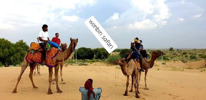 Overnight Luxury Safari by Wonbin Safari - Key Points