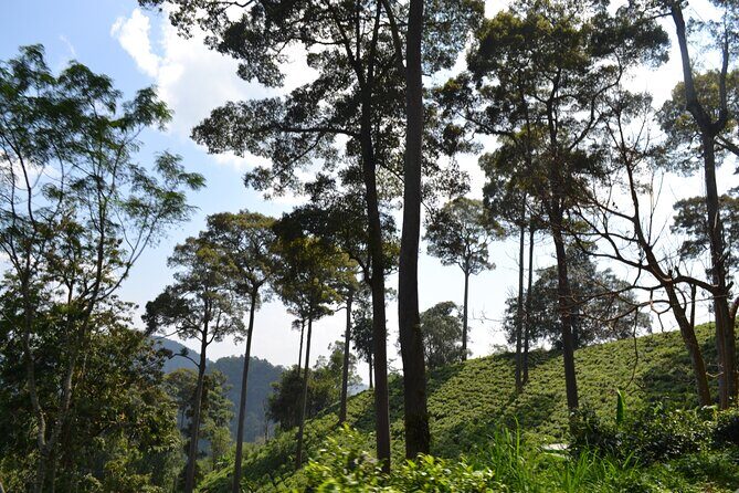 Overnight Mae Taeng highlands Trek from Chiang Mai - Frequently Asked Questions