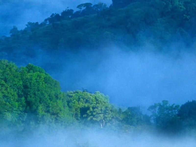 Overnight Munnar Hill Station Tour with Kerala Beauty - In summary