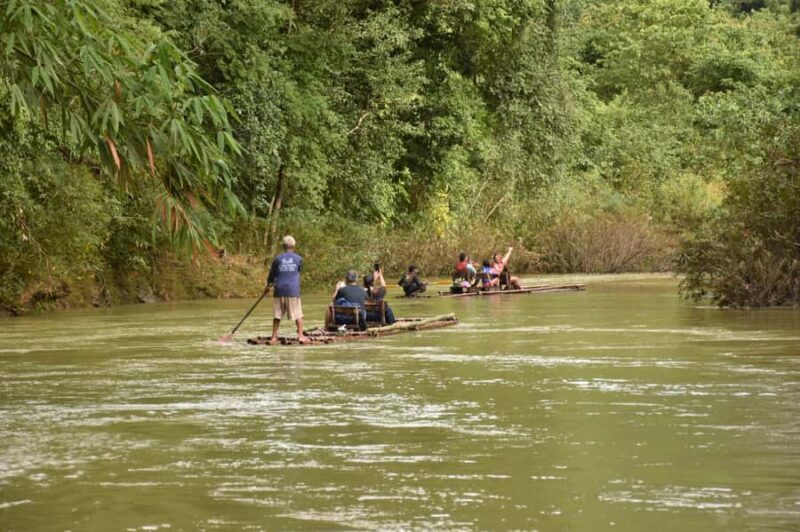 Overnight package stay at Treehouse resort with activities - Key Points