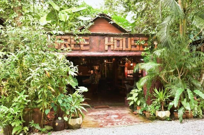 Overnight package stay at Treehouse resort with activities - Final Thoughts: Is It Worth It?