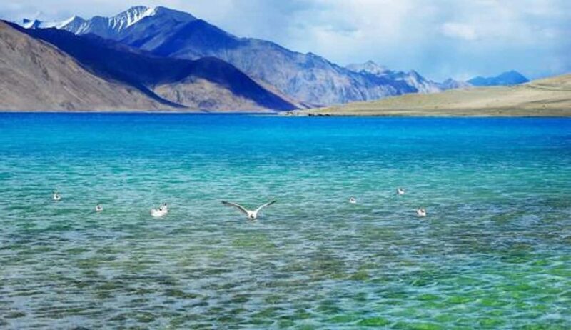Overnight Pangong Tour From Leh With Thiksey & Shey Palace - Key Points