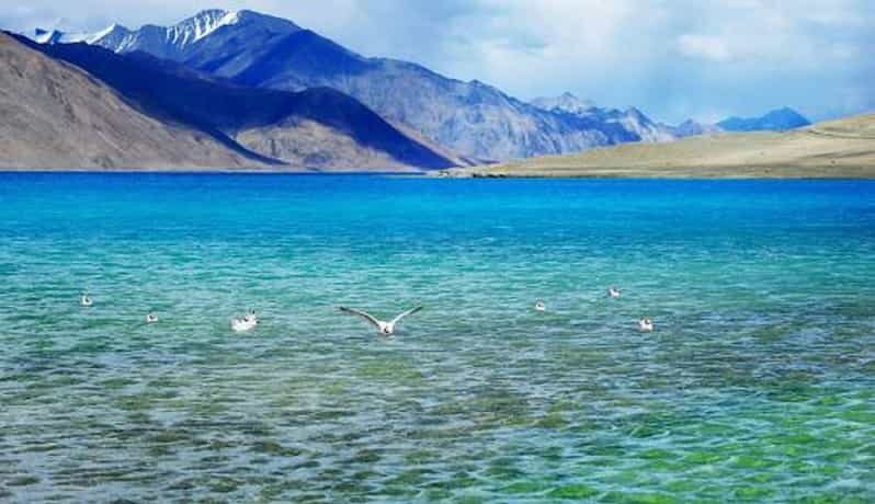 Overnight Pangong Tour From Leh With Thiksey & Shey Palace - FAQ