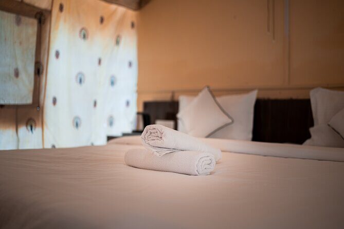 Overnight Stay in a luxury Camp with a cultural show & dinner. - In The Sum Up