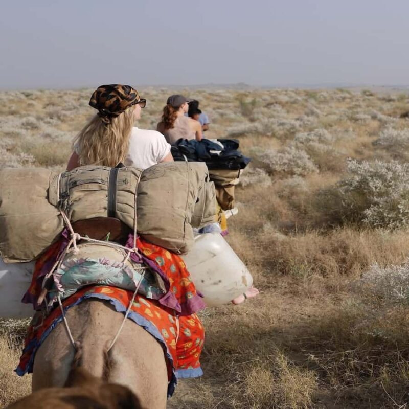 Overnight Thar Desert Safari with Camel Ride & Stargazing - Who Should Consider This Tour?