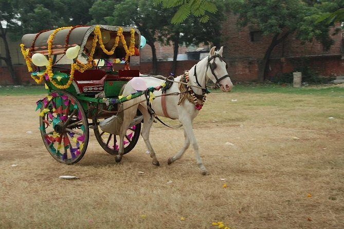 Overnight trip to Delhi and Agra - An Honest Look at the Experience