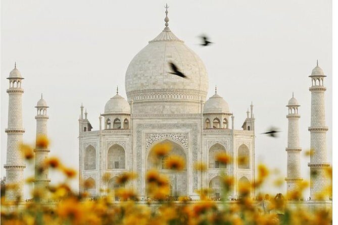 Overnight trip to Delhi and Agra - Final Thoughts