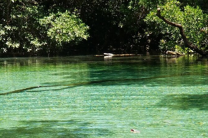 Oviedo Lagoon + Salado Stream, ALL INCLUSIVE, from Pedernales - The Value of the Experience