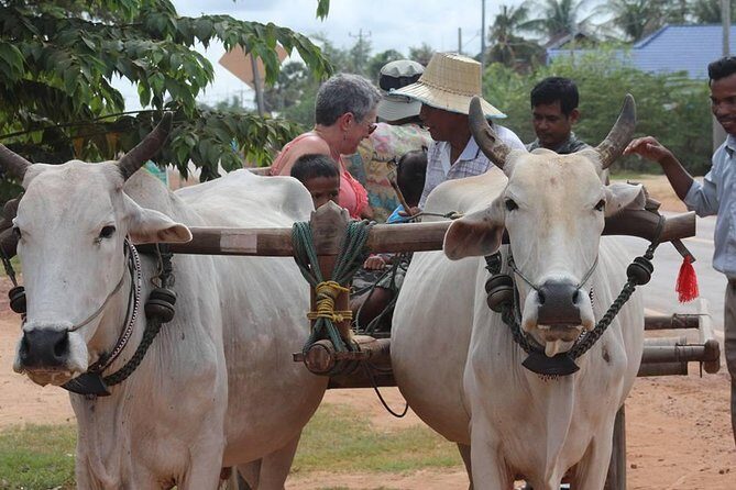 Ox-cart Culture Tour, Countryside Experince in Siem Reap - Key Points