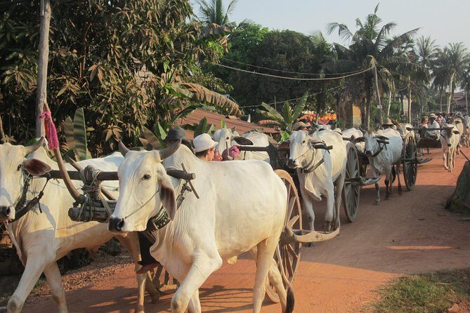 Ox-cart Culture Tour, Countryside Experince in Siem Reap - Whats Included and What to Expect