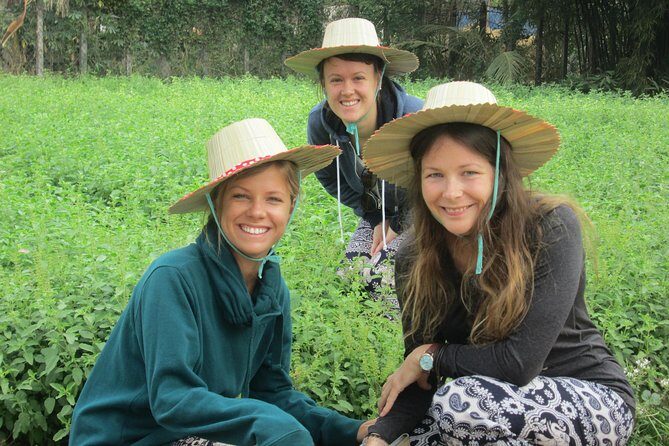 Ox-cart Culture Tour, Countryside Experince in Siem Reap - The Sum Up