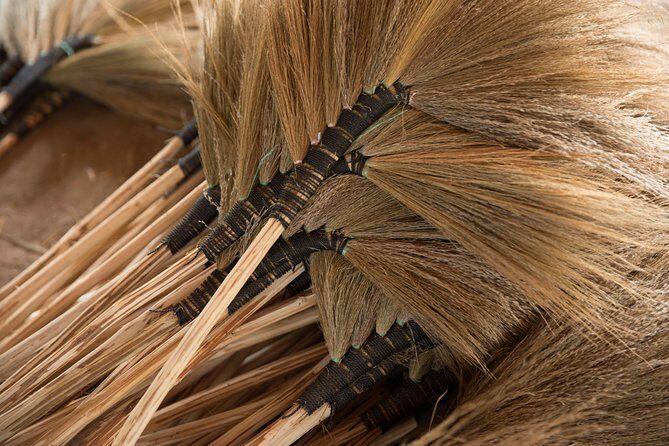 Ox Cart Ride of Rural Cambodia - Exploring the Ox Cart Ride: A Genuine Look at Rural Cambodia