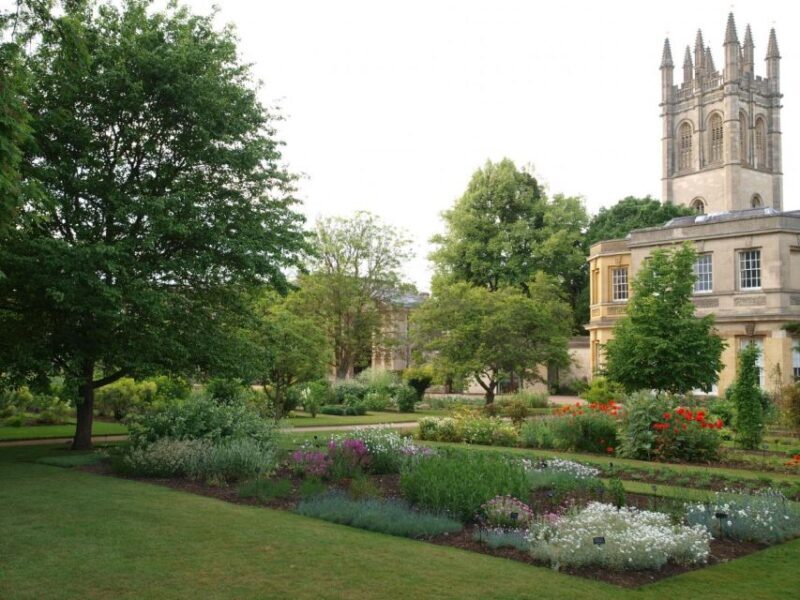 Oxford 3-Hour Private Walking Tour - An Introduction to Oxford’s Charm