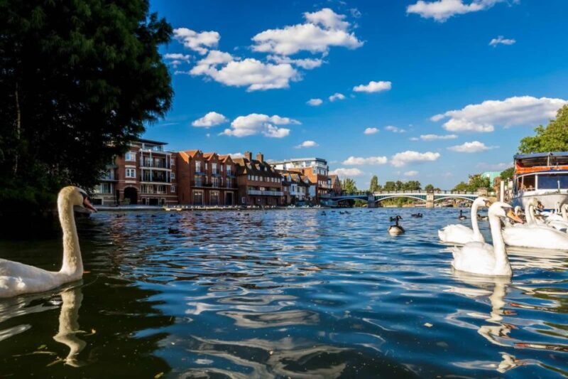 Oxford & Blenheim Palace: Exclusive Private Tour - Authentic Experiences and Practical Tips