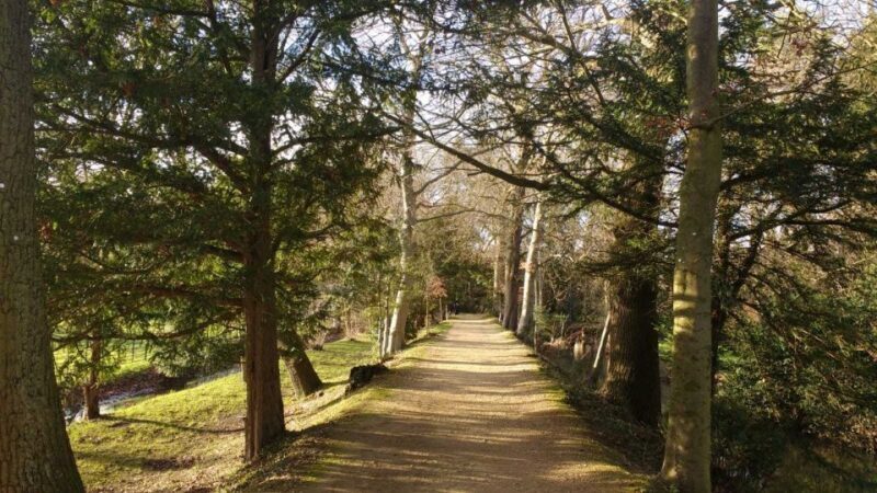 Oxford: C.S. Lewis & J.R.R. Tolkien Guided Walking Tour - Discovering Oxford’s Literary and Religious Heritage