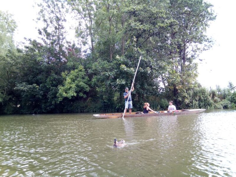 Oxford: Chauffeured Punting River with Optional Walking Tour - The Sum Up: Who Should Consider This Tour?