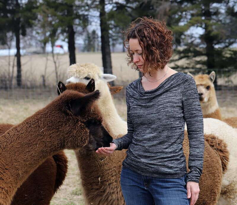Oxford County, ON: Alpaca Farm Walk & Learning Experience - Who Will Love This Tour?