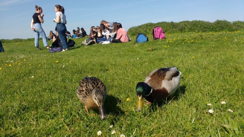 Oxford: River Cruise and Walking Tour to Iffley Village - Final Thoughts
