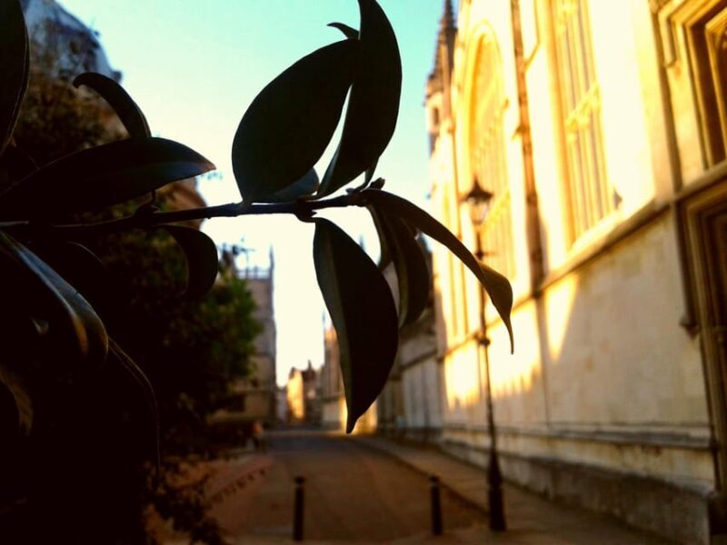 Oxford: Solo Traveller Private Tour - The Rundown: Who is it best for?