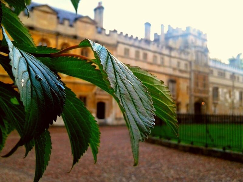 Oxford: Solo Traveller Private Tour - Final Thoughts
