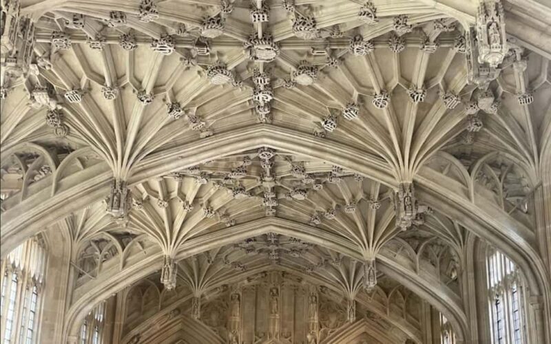 Oxford: Town & Gown Tour with Divinity School Entry Ticket - Key Points