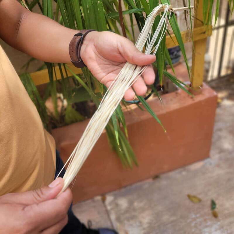 Oxkintok ancient Puuc + Becal Jipi Japa artisan + Cenote - Authentic Experiences and Practical Tips