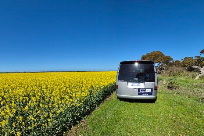 Oyster Adventure in Coffin Bay (Coffin Bay Pick Up) - The Scenic Coffin Bay Lookout