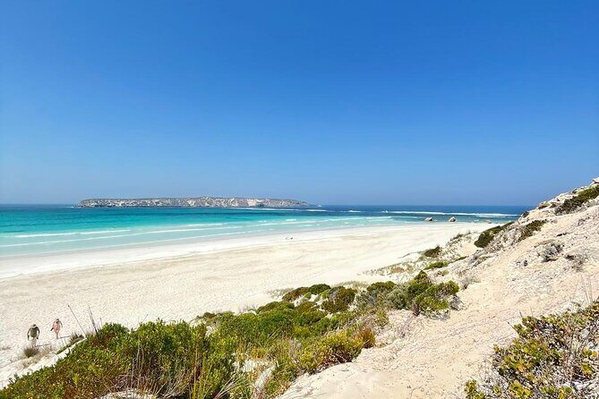 Oyster Adventure in Coffin Bay (Coffin Bay Pick Up) - Price and Value