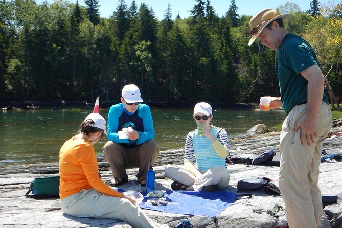 Oyster Farm & Complimentary Tasting Sea Kayak Tour in Casco Bay - An In-Depth Look at the Casco Bay Oyster & Kayak Experience