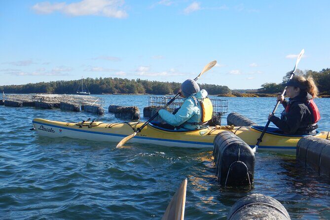 Oyster Farm & Complimentary Tasting Sea Kayak Tour in Casco Bay - Final Thoughts on Value & Experience