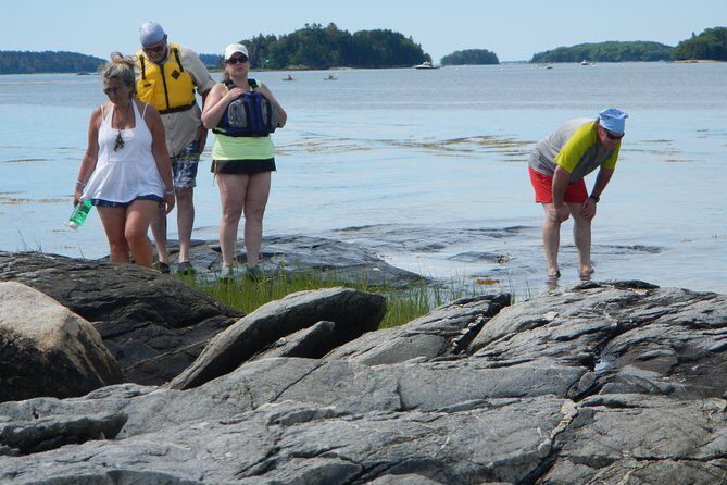 Oyster Farm & Complimentary Tasting Sea Kayak Tour in Casco Bay - FAQ