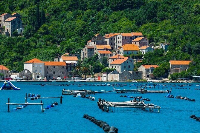 Oyster farm experience private day trip from Dubrovnik - Who Will Love This Tour?