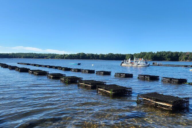 Oyster Tasting and Kayak Tour - What Sets This Tour Apart?