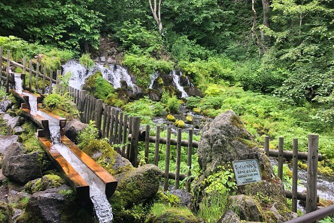 [Oysters in Suto] Let's go to Cape Kamui, Oyster Hut and Fukidashi Park by private car!To/from Sapporo - Why This Tour Offers Great Value