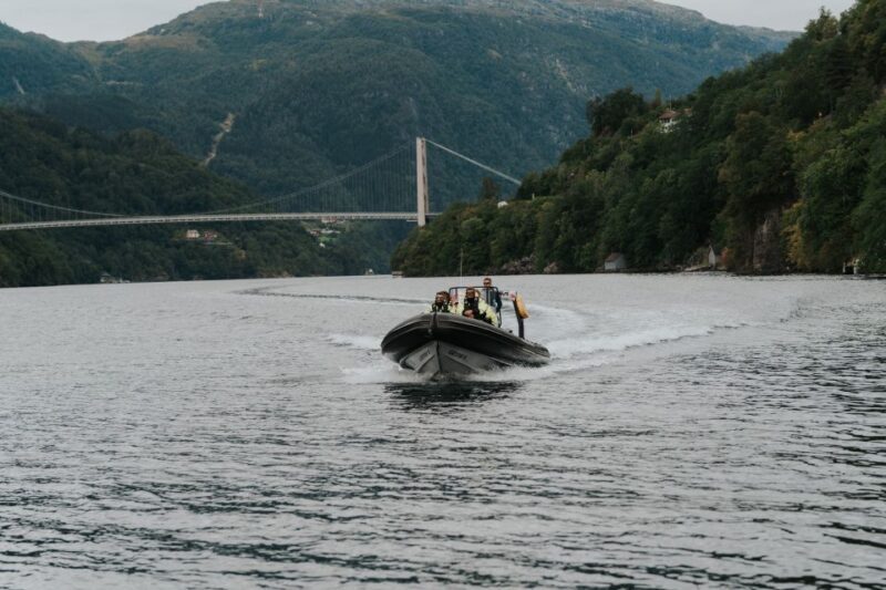 Øystese: Hardangerfjord RIB safari to the Fyksesund branch - Key Points