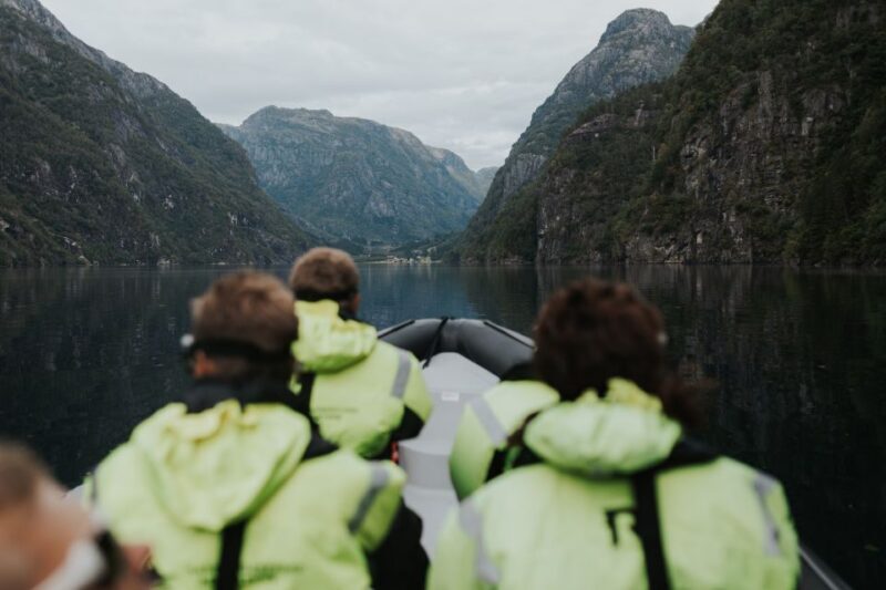 Øystese: Hardangerfjord RIB safari to the Fyksesund branch - An Authentic Fjord Experience in a Compact Package