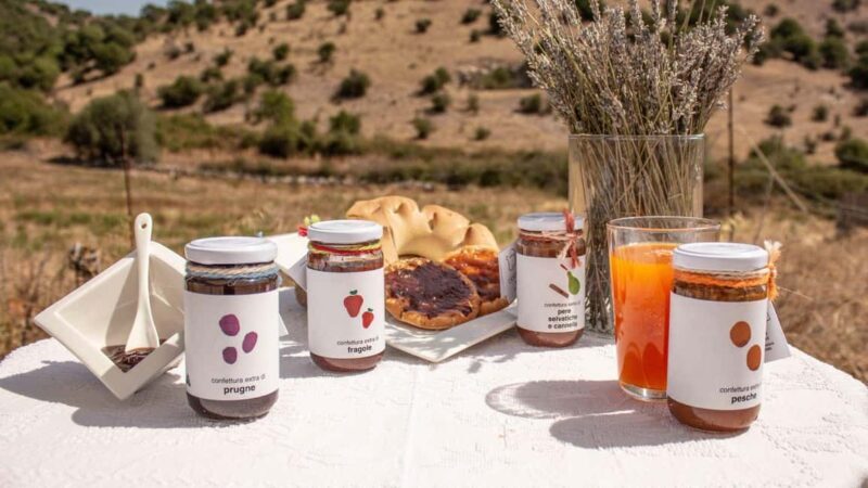 Ozieri: jam tasting in Tula - The Value of the Experience