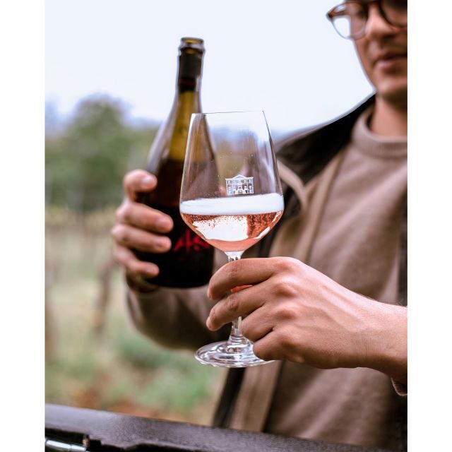 Ozzano Emilia: Guided Cellar Walking Tour with Wine Tasting - A Deep Look at the Experience