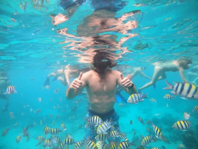 Ozzy Snorkeling 3 Islands Visit Baby Turtles - Who Will Love This Tour?