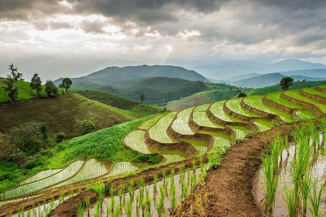 Pa Bong Piang Rice Terraces and Doi Inthanon Seasonal Day Tour - The Sum Up: The Best Fit for Authentic, Scenic, and Cultural Exploration