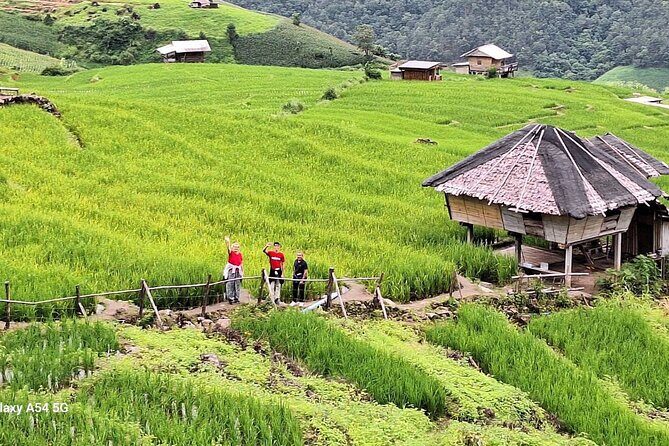 Pa Pong Piang Rice Terrace and Doi Inthanon National Park - Summary
