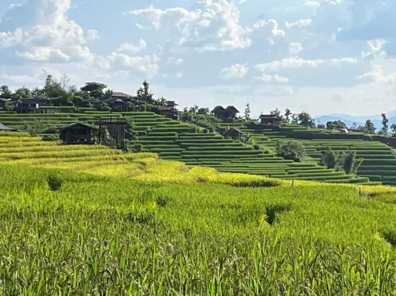 Pa Pong Piang Rice Terraces & Doi Inthanon National Park - Who Will Enjoy This Tour?