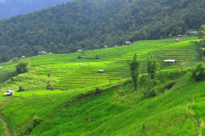 Pa Pong Piang - Why This Tour Offers Great Value