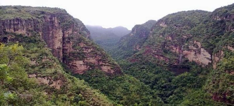 Pachmarhi Same-Day Tour: Nature, Caves & Waterfalls - Who Is This Tour Best For?