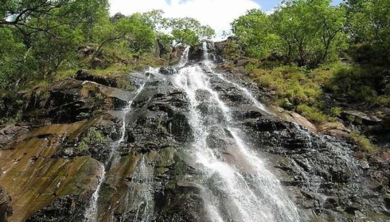 Pachmarhi Same-Day Tour: Nature, Caves & Waterfalls - FAQs