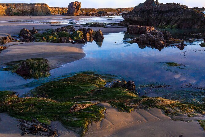 Pacific Coast Highway: Smartphone Audio Tour, LA to Santa Maria - Who Will Love This Tour?